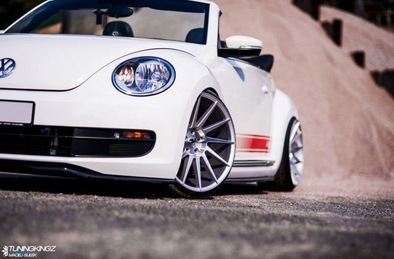 BEETLE – Maxton Design USA